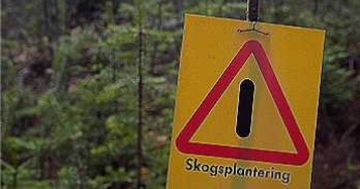 Hotar stoppa plantering med giftbehandlade skogsplantor | Skogen