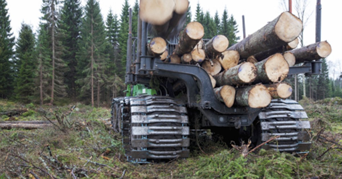 band för skogsmaskin | Skogen