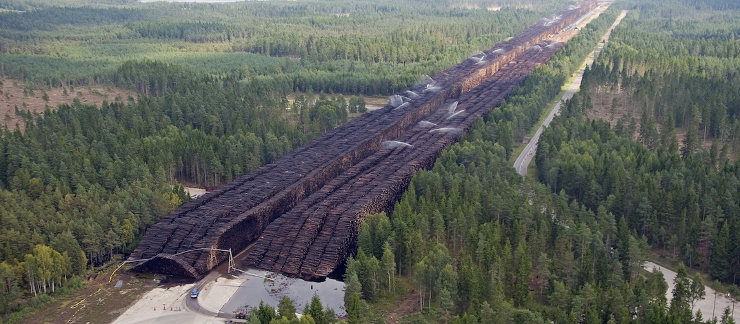Så påverkades vi av Gudrun - Skogen