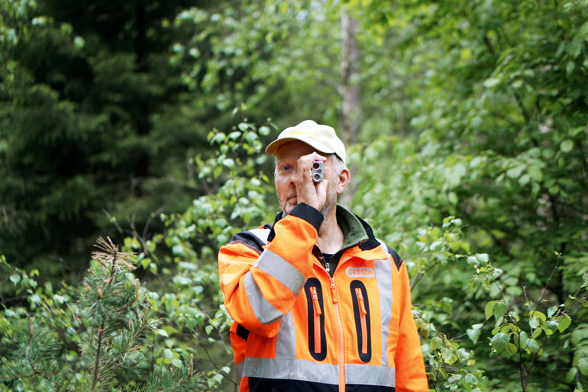 Hundra års försök i en bok - Skogen