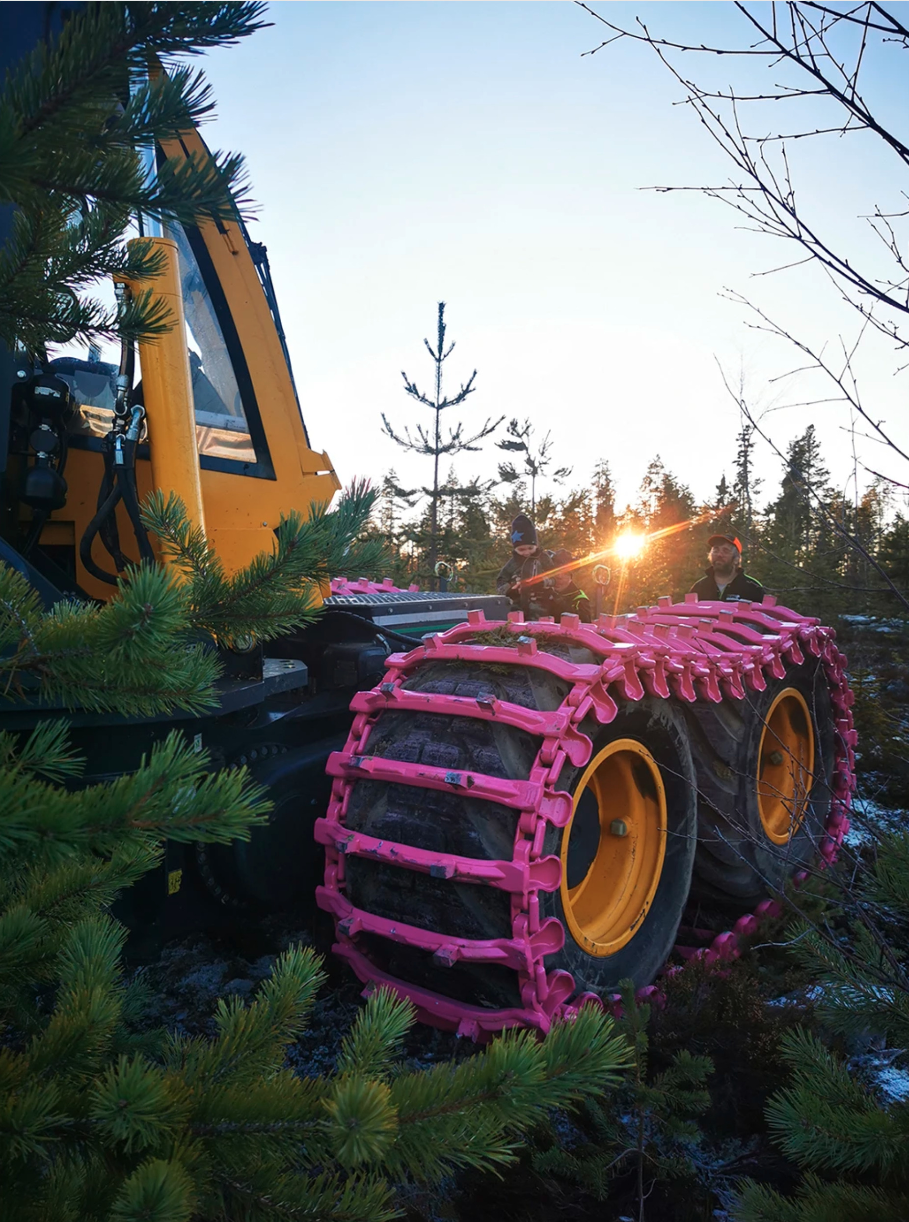 De har dubbla rosa band - Skogen