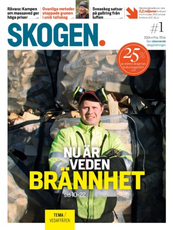 Svenska träd arkiv - Skogen