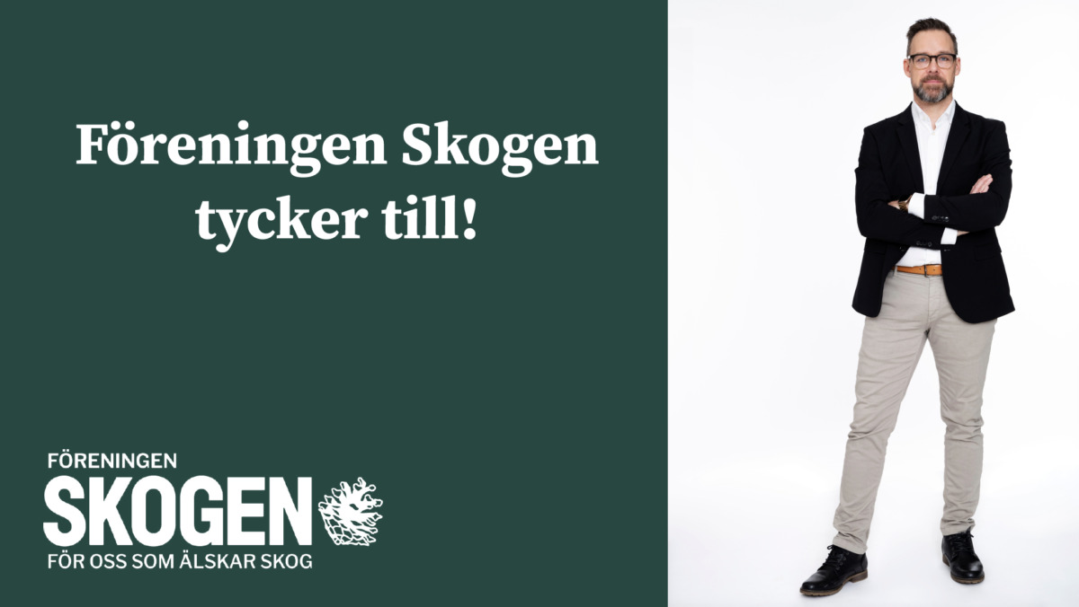 Föreningen Skogen tycker till! - Skogen