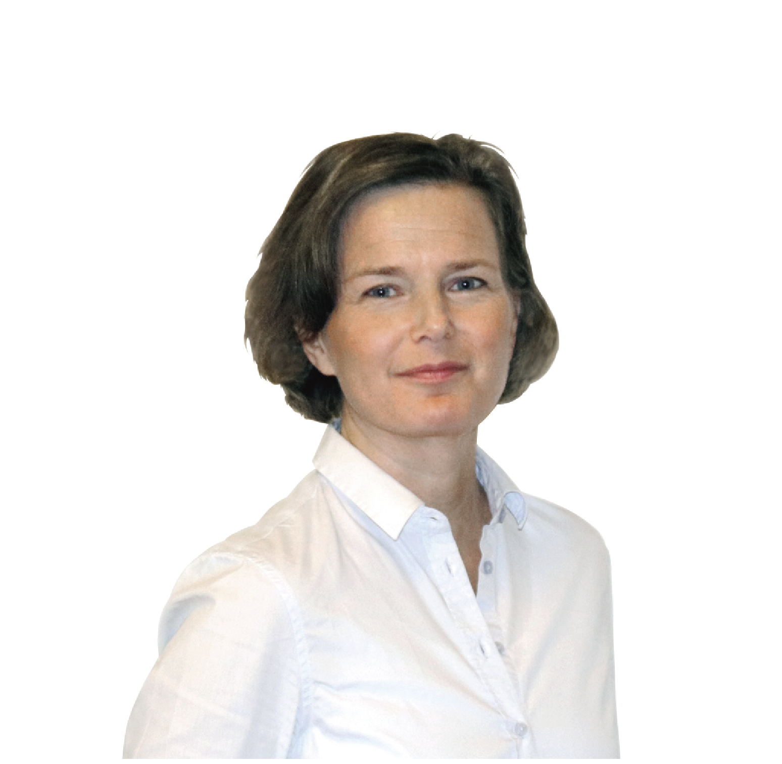 Prisutjämning gynnar Mellansverige - Skogen