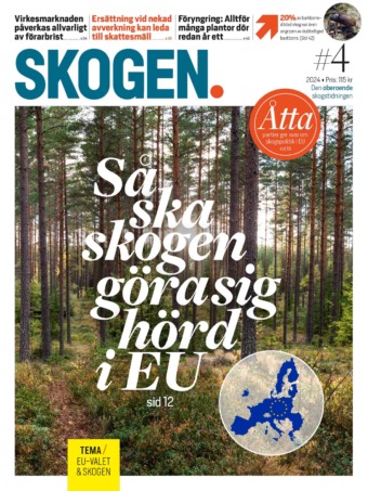 Skogen - För oss som älskar skog