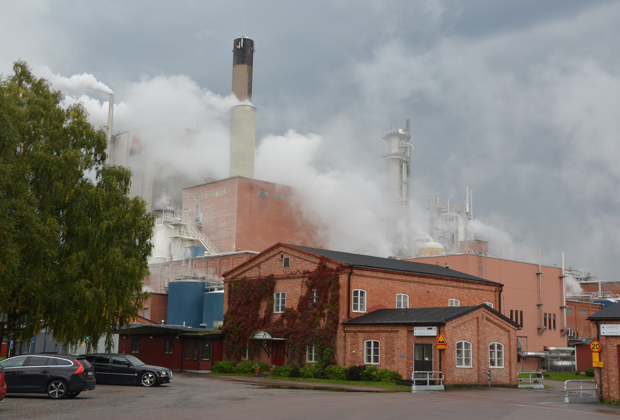Träkoncern växer - nytt köp av pappersbruk - Skogen