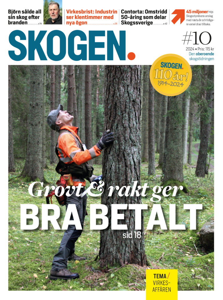 Grot – nu växer efterfrågan - Skogen