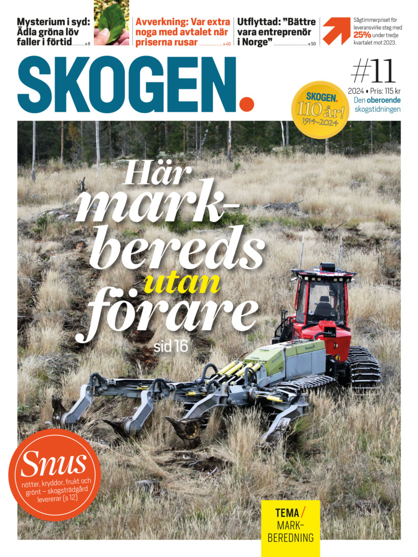 Nu har Santhe Dahl tid för egna skogen - Skogen