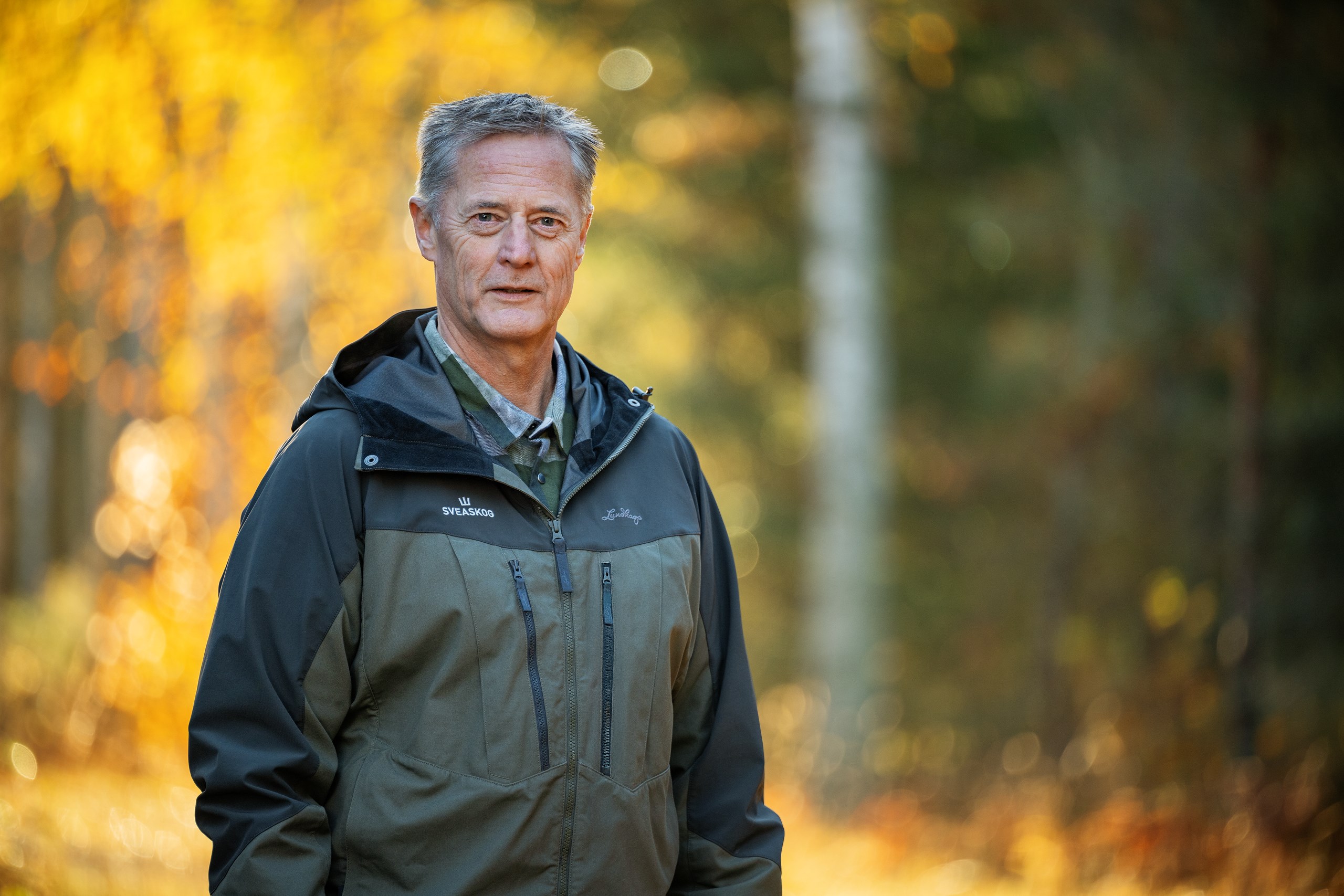 Vinstlyft för Sveaskog - Skogen