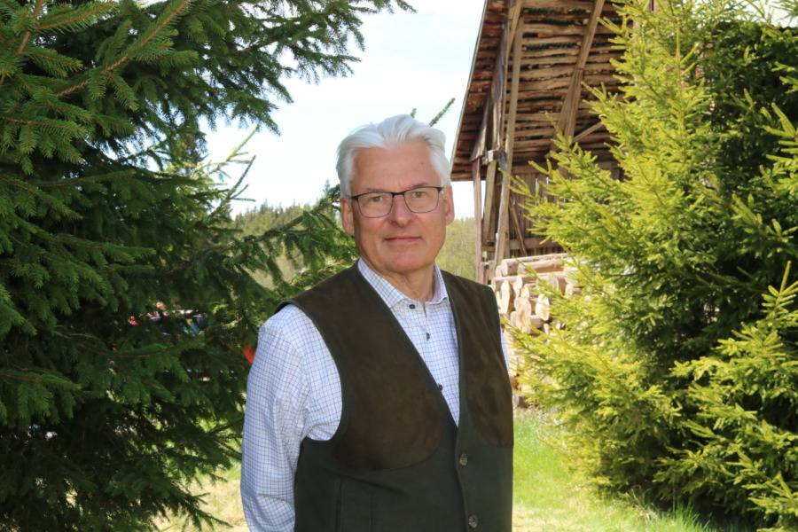 Minnen från stormens öga - Skogen