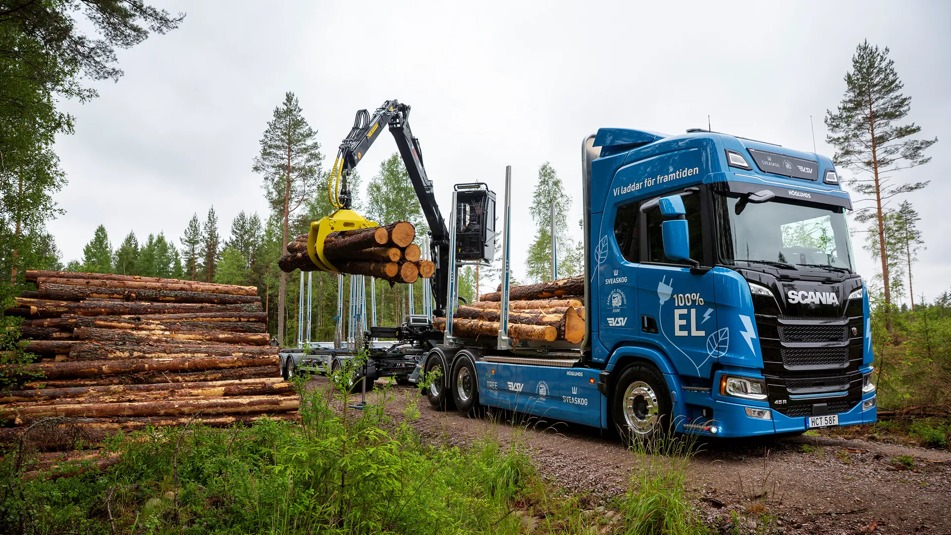 Elektriskt hos Sveaskog - Skogen