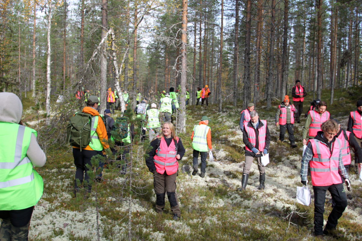 Hett och brett under höstexkursionen - Skogen
