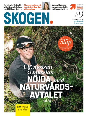 Säkerhet i skogen - Skogen