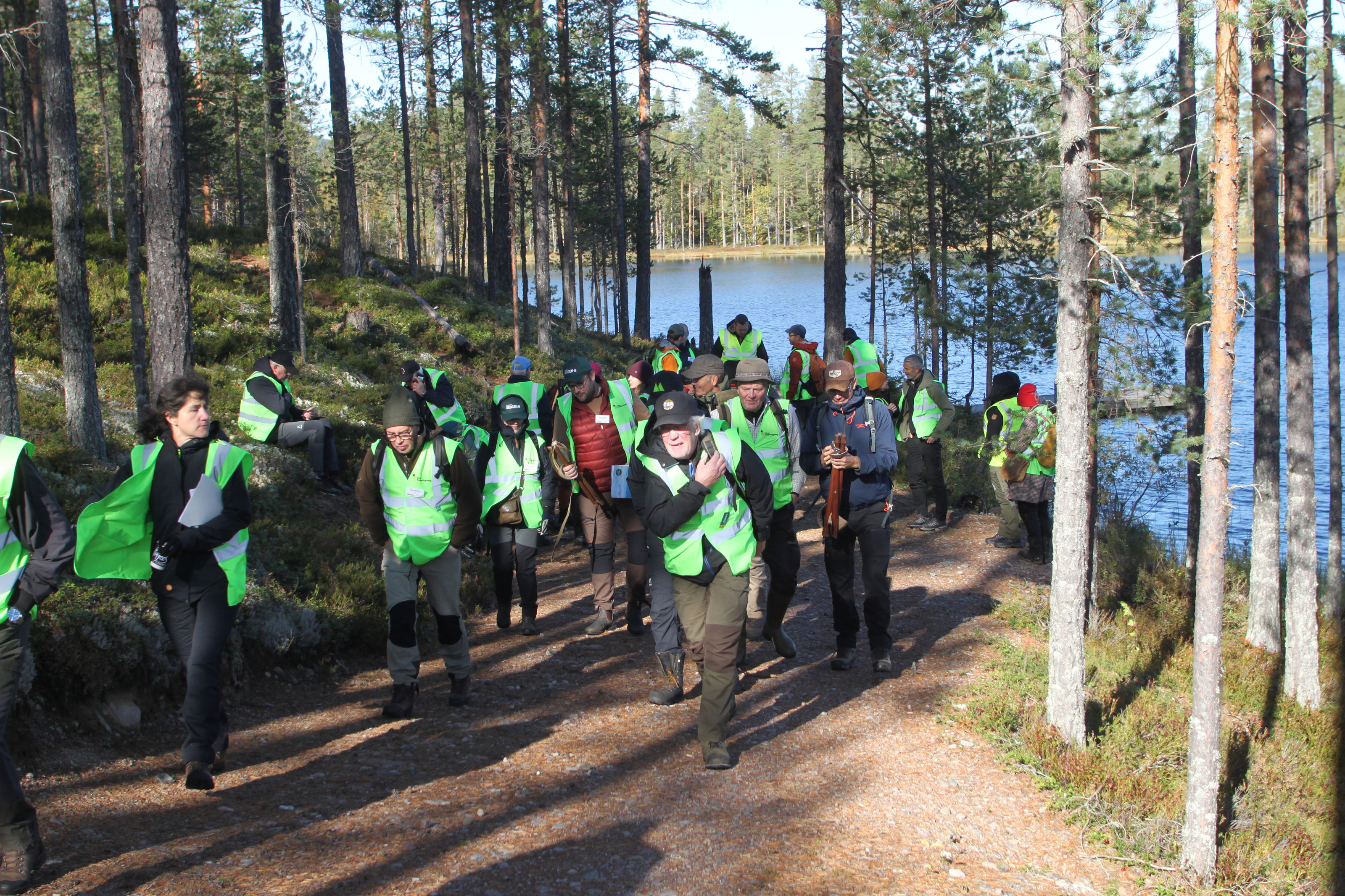 Höstexkursionen – som om du var där - Skogen