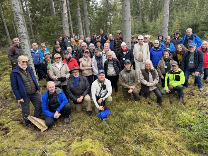 ”Olika stadier, samma utmaningar” - Skogen